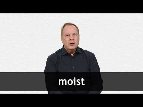 MOIST - Learn the Meaning, Synonyms & Translations | Collins English ...