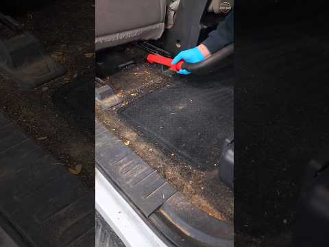Detailing NASTY Work Truck in 60 SECONDS! 🚘💕 #ASMR #Satisfying #Detailing #CarCleaning #DetailDane