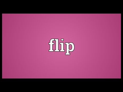 Flip Meaning