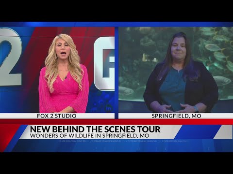 New Behind the Scenes Tour at Wonders of Wildlife