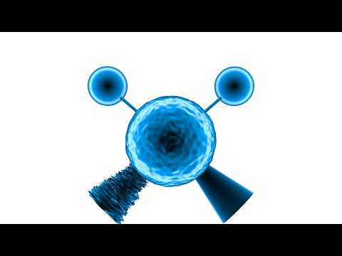 Wagging Vibration in Infrared Spectroscopy