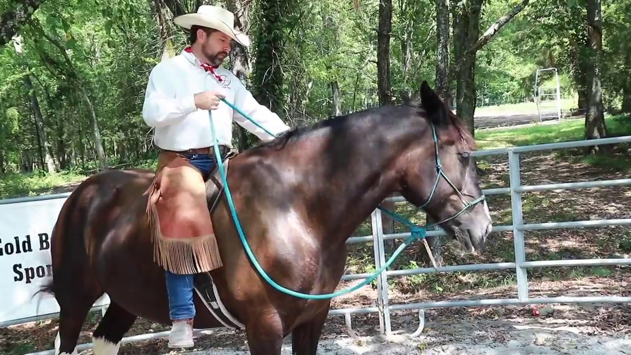Bareback riding for beginners-Part 1