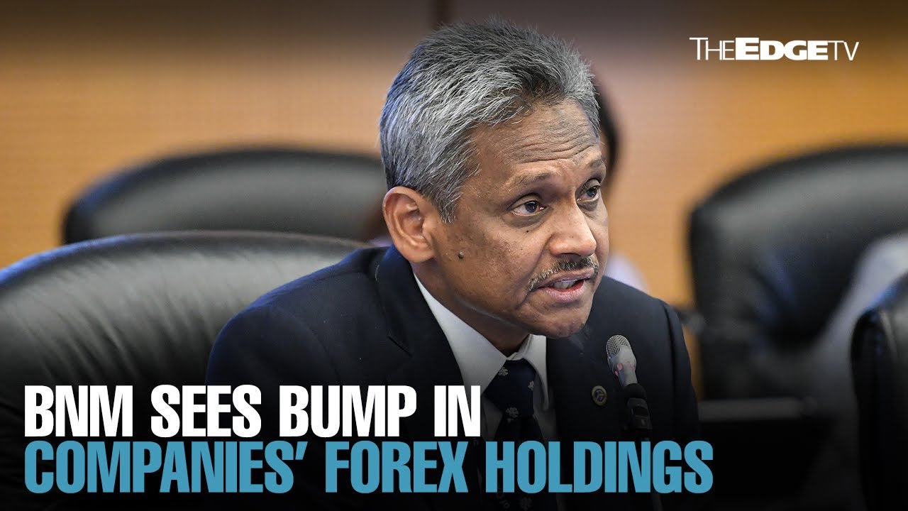 BNM finds rising foreign currency holdings, widens calls for ...