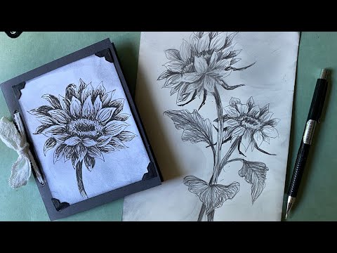 How to draw a Sunflower- quicky sketch