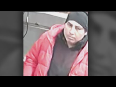 Man, 29, shot and killed in Brooklyn: NYPD