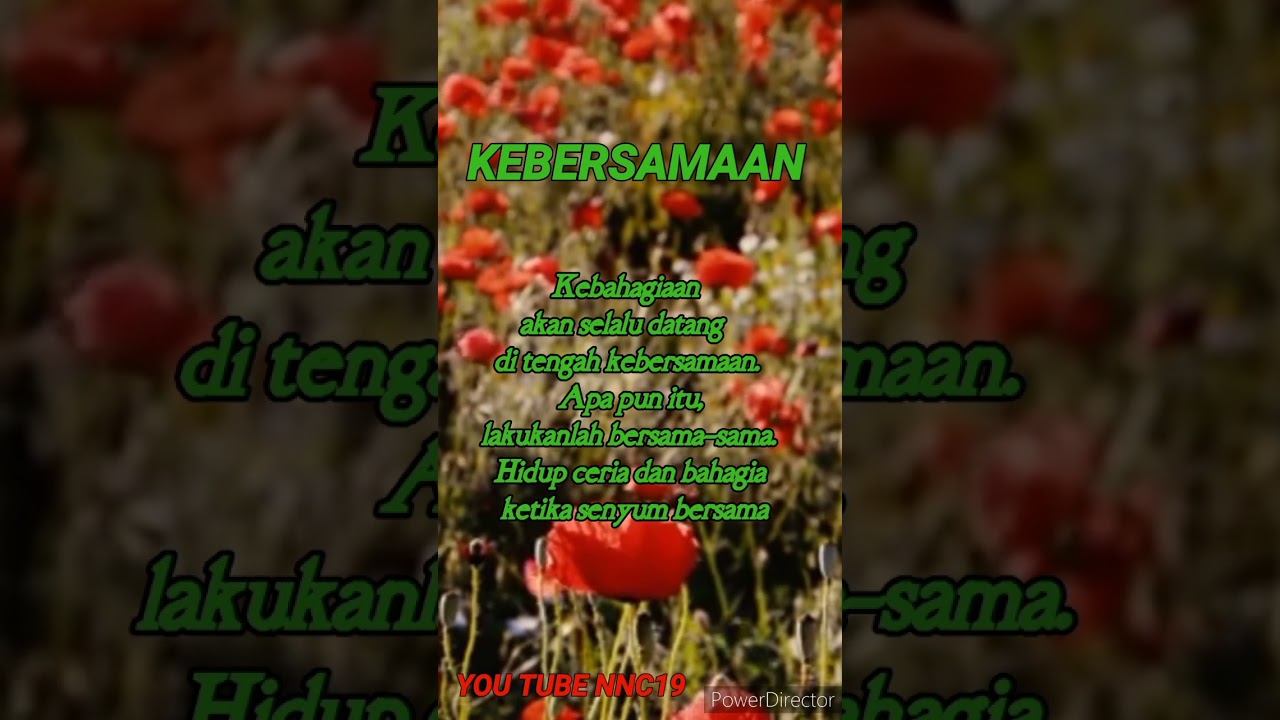 kata kata mutiara kebersamaan #motivasi #mutiara