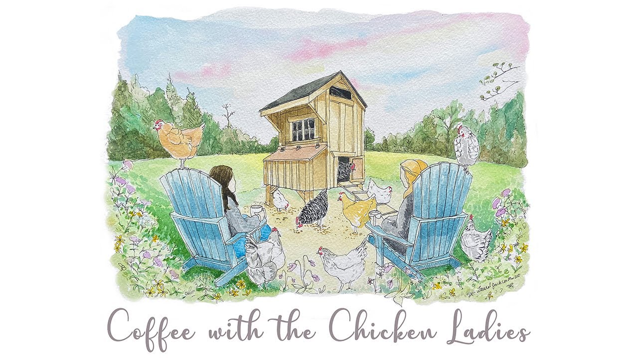 Episode 189 Ayam Ketawa / All About Combs and Wattles / Chickens and Hobby Farms Magazines