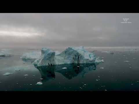 Researchers identify behavioral adaptations that may help Antarctic fishes to adapt to warming ocean
