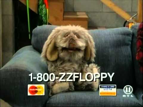 Mr. Floppy | Hoy se titula así