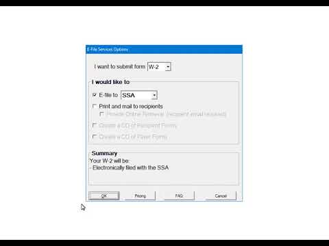 W-2 - E Filing to the SSA Using E File Services
