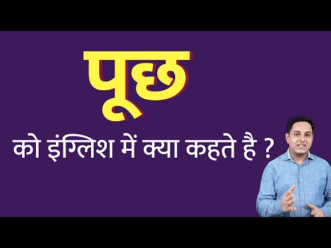 पूछ को इंग्लिश में क्या कहते हैं ? puch ko English mein kya kahate hain | Spoken English classes