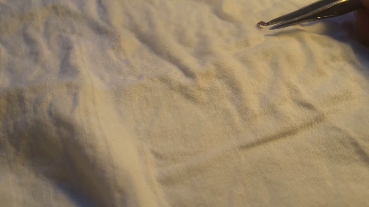 Testing Say Bye Bugs spray on bed bug