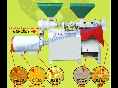 Maize Grit Making Machine at Best Price in India