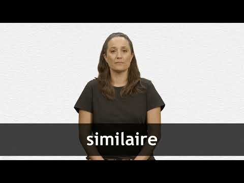 English Translation of “SIMILAIRE” | Collins French-English Dictionary