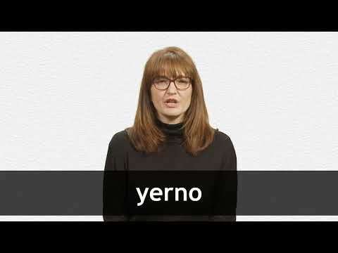 Traducción en inglés de “YERNO” | Collins Diccionario español-inglés