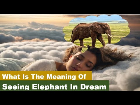 What Is The Meaning Of Seeing Elephant In Dream