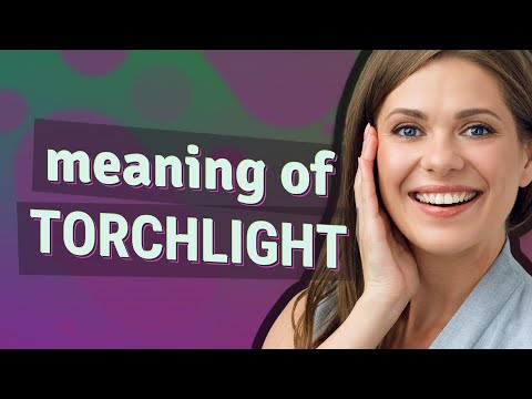Torchlight | meaning of Torchlight