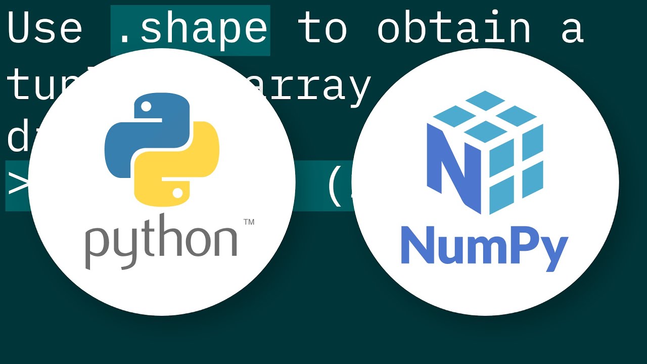 Numpy array dimensions