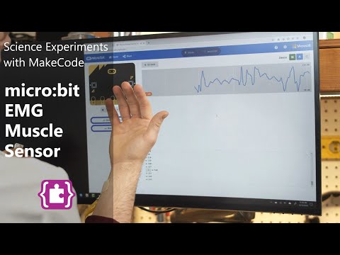 Body electrical and waves