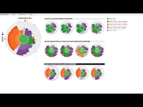 PhenoBlocks: Phenotype Comparison Visualizations