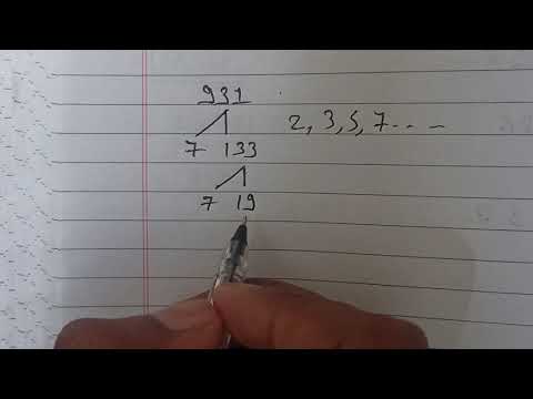 factor tree of 931 | prime factor tree |
