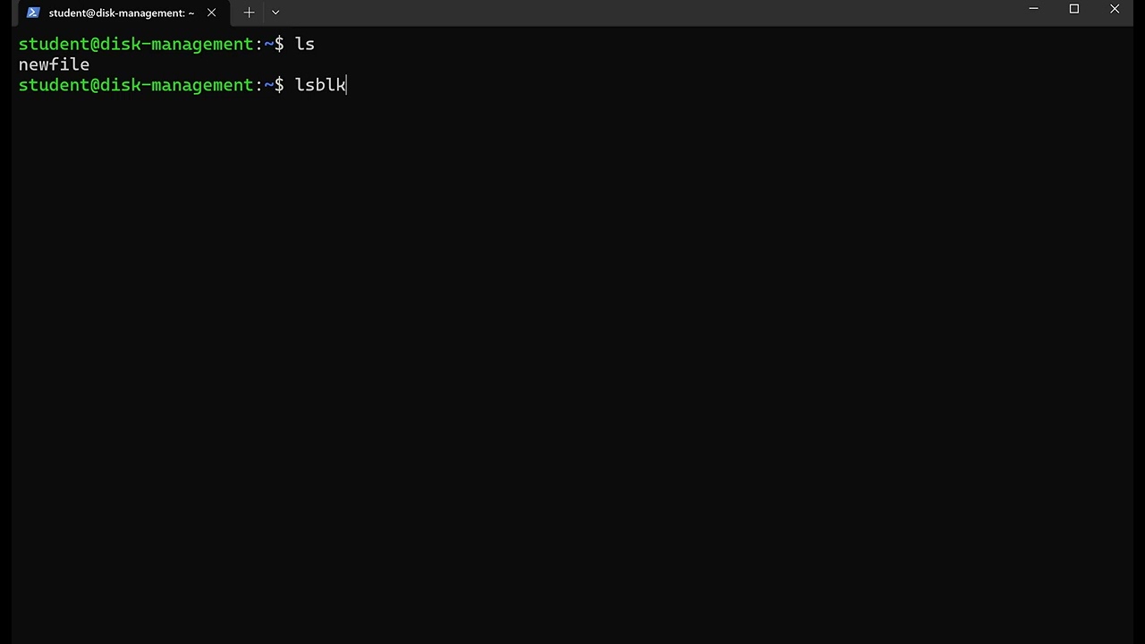 Linux Disk Management   lsblk Command