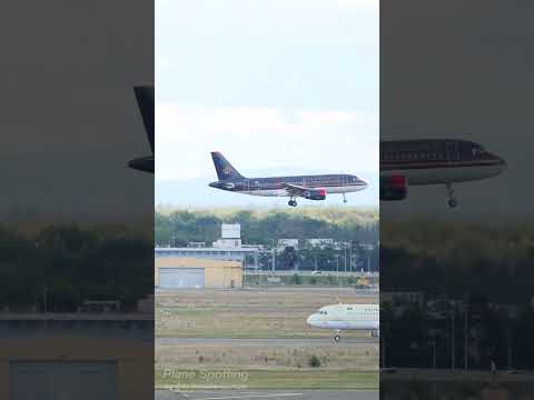Royal Jordanian Airbus A319 landing from Amman, Jordan #planespotting #jordan #a319