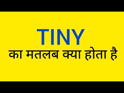 Tiny meaning in hindi/ Tiny ka matlab kya hota hai