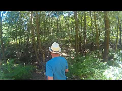 UK BODNIK BOWHUNTER CHALLENGE 3D FIELD ARCHERY COMPETITION 09.07.2022 056