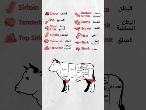قطع اللحمة بالإنجليزي 🥩ايه الجزء المفضل عندك؟ 😋 #english #shortsfeed #cooking #انجليزي