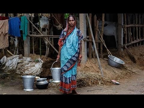 From Cow to Consumer: ​Transforming India's Milk Industry