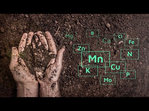 Earth On The Edge - A Clean Seed Capital Documentary