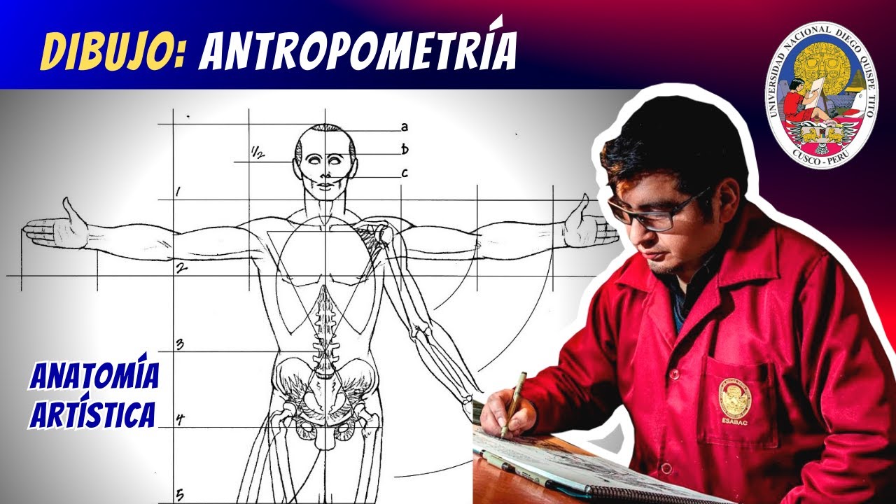 Cómo dibujar el Cuerpo Humano - Proporciones - ANTROPOMETRÍA