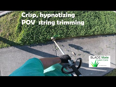 55 minutes of real time POV LAWN EDGING satisfaction!!! Lawn care Australia