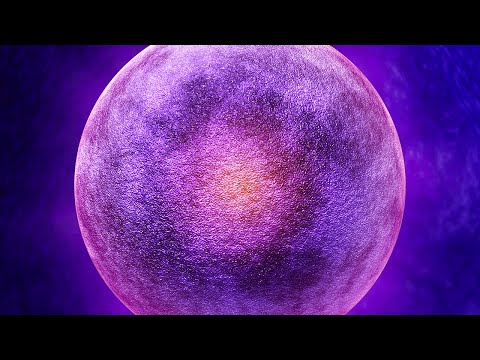 Human Physiology - Development of the Ova