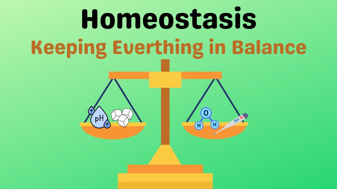 Homeostasis in Cells