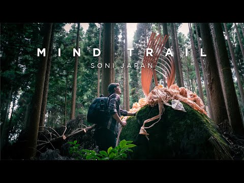 Japanese Forest Art : Mind Trail Nara Soni | Japan's Psychedelic Outdoors Art Exhibit