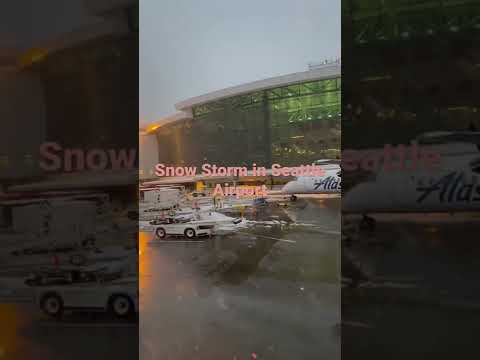 Snow Storm in Seattle Airport