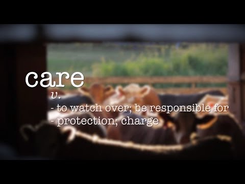 Caring for Cattle is Key - The Canadian Beef Story