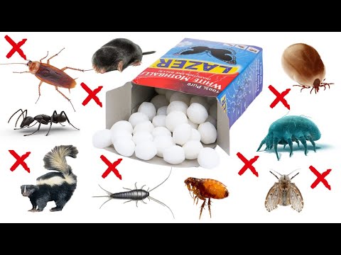 How to Use Mothballs to Get Rid & Repel Pests EASILY - MOTHS, BEDBUGS, COCKROACHES, ANTS, FLEAS.....