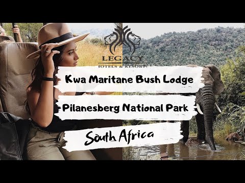Kwa Maritane Bush Lodge Stay | Pilanesberg National Park | South Aftrica