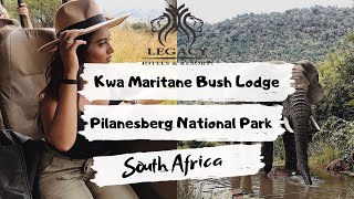 Kwa Maritane Bush Lodge Stay | Pilanesberg National Park | South Aftrica