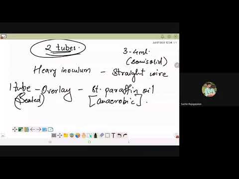 Oxidative Fermentative Test – TYBSc Microbiology Practicals 2021-22