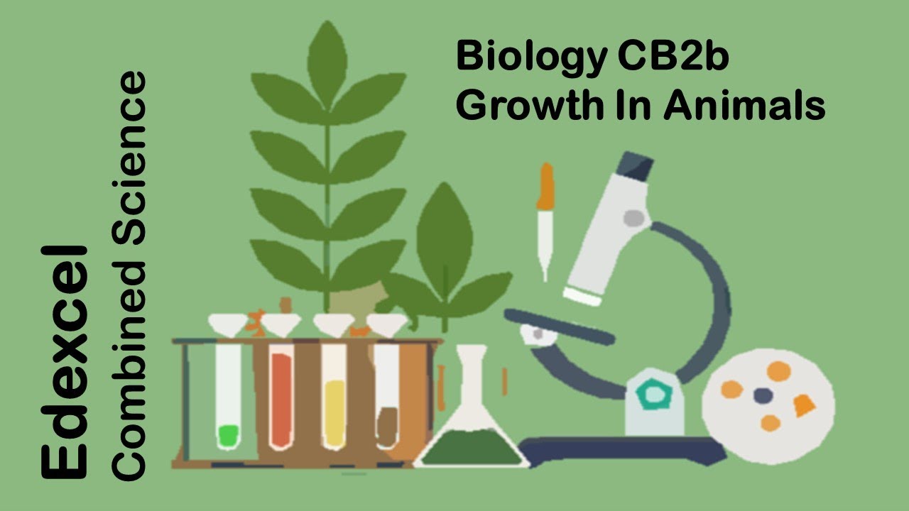 CB2b Growth In Animals