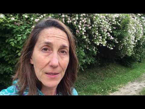 Beautiful Surprise on My Walk – Rachel Keil