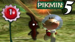 Day 2, Part 1: The Forest Of Hope... and Fear - Pikmin - Fimfiction
