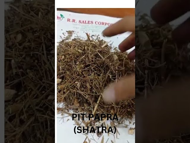 Medicinal Herbs - Pittapapada - Fumitory- FlumariaIndica Manufacturer ...