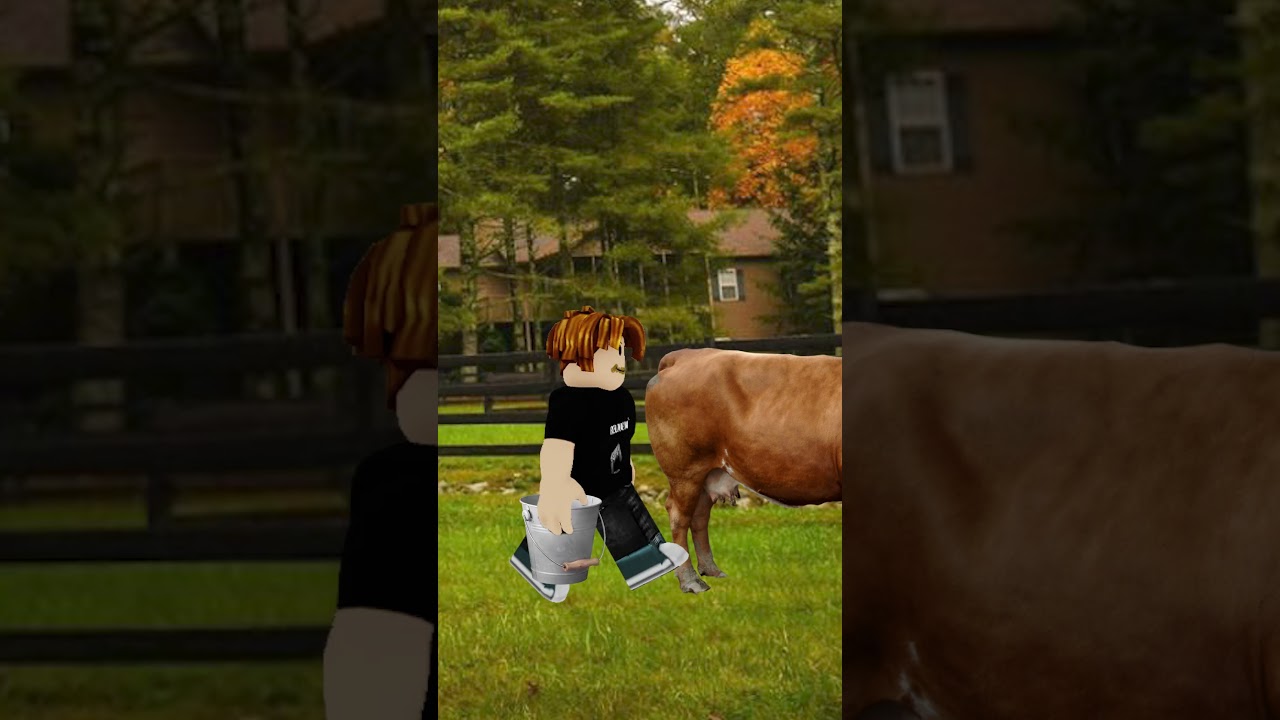 Bacon Hair milking a cow in Roblox