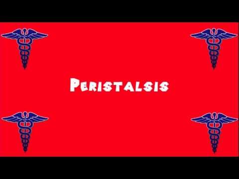 Pronounce Medical Words ― Peristalsis