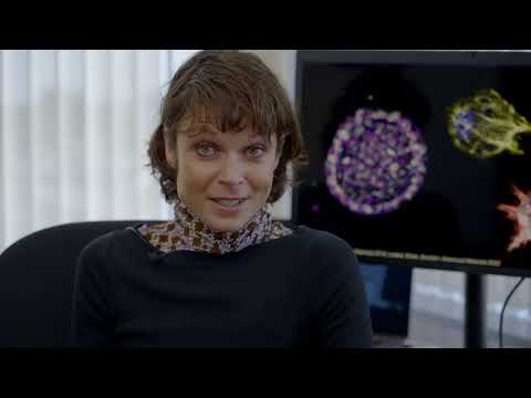 A Look at UMich MSE Labs: The Claudia Loebel Lab